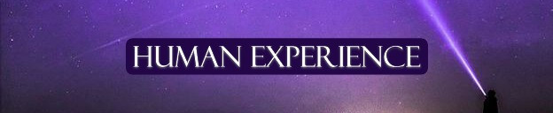 Search results | Moodle_2526